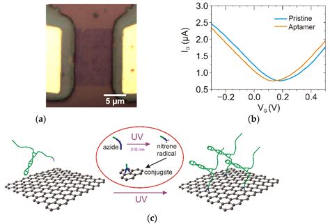 One Step Photochemical Immobilization Of Aptamer On Graphene For Label