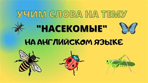 СЛОВА НА ТЕМУ НАСЕКОМЫЕ НА АНГЛИЙСКОМ ЯЗЫКЕ С ПЕРЕВОДОМ ОЗВУЧКОЙ