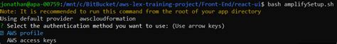 Headless Amplify Cli Prompts For Profile Access Keys Despite Being