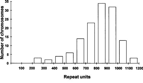 Figure 1 From The Relationship Between Trinucleotide Gaa Repeat