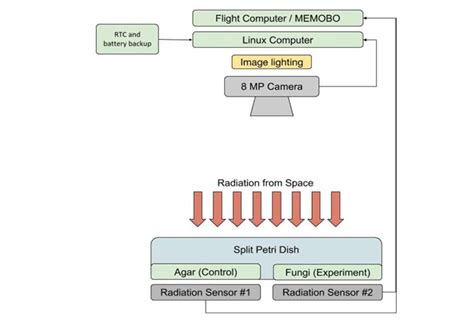 Radiation Shielding Beamline At Hilda Lefebre Blog