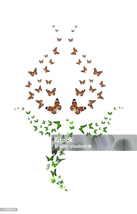 흰색 배경에 고립 된 튤립 모양의 나비 세트 빨간 싹 열대 곤충 디자인용 컬러 나방 0명에 대한 스톡 사진 및 기타 이미지