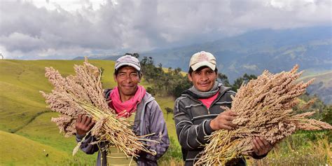 Climate Readiness Alliance Bioversity International Ciat
