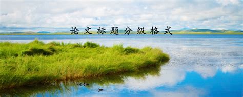 论文标题分级格式 艾思科蓝