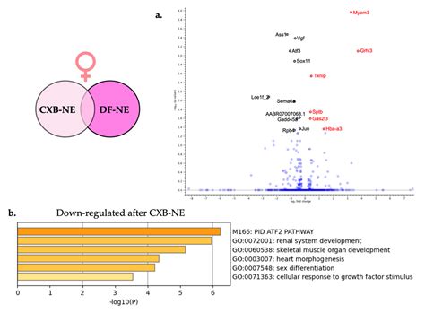 Rna Seq Reveals Sex Differences In Gene Expression During Peripheral