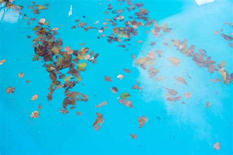 Pourquoi Il Y A Du Dépôt Au Fond De Ma Piscine Vivons Maison