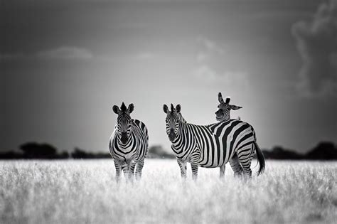 Mysql Thread Based Architecture Insights