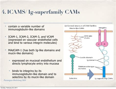 Bio 151 Lec 12 13 Cmer And Lmi
