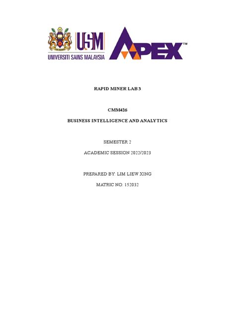 rapid miner lab 3 pdf demand prices