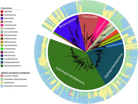Frontiers How Elevated Nitrogen Load Affects Bacterial Community