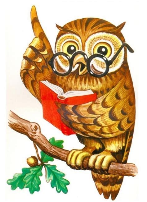 Cute owls wallpaper, Owls drawing, Owl clip art