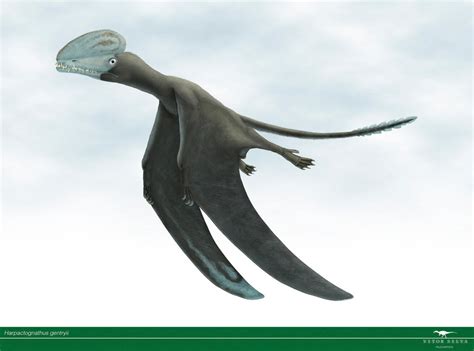 Harpactognathus By Vitor Silva On Deviantart
