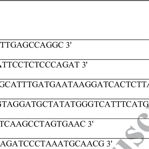 Sequences Of Designed Primers For Rt Lamp Assay Download Scientific