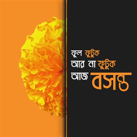 Pohela Falgun 2020 Behance