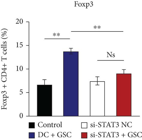 Isolation Differentiation And Cytokine Secretion Of T Lymphocytes