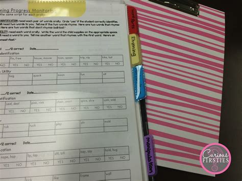Curious Firsties Analyzing Rti Continuous Progress Monitoring