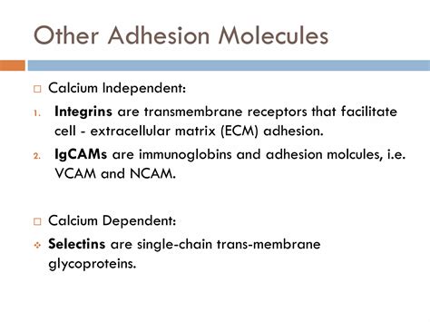 Cell Adhesion Molecules Pdf