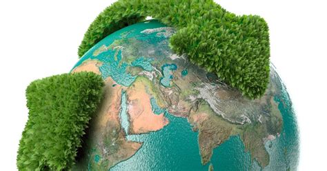 Eco Planet Sustentabilidade