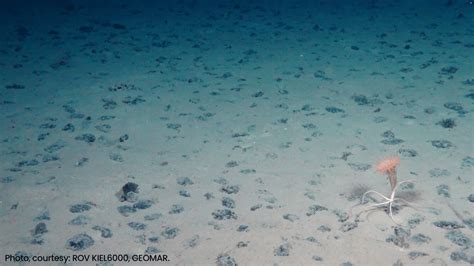 Impossible Metals Demonstrates Its Super Careful Seabed Mining Robot
