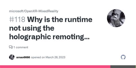 why is the runtime not using the holographic remoting extensions