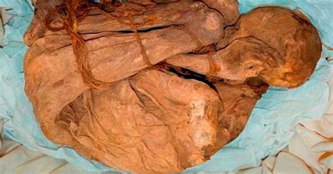 Alemania Devuelve A Perú Una Momia Prehispánica Infobae