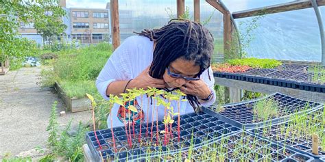 Project Eats Hauser And Wirth