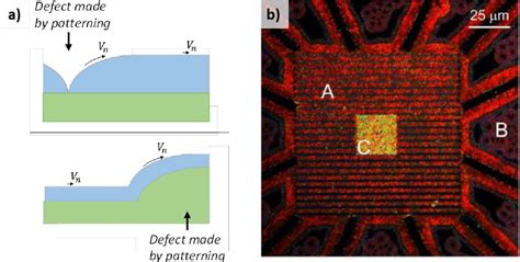 Synergetic Combination Of Top Down And Bottom Up Lithography Processes