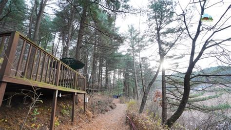 10 포천 금동산야 캠핑장 네이버 블로그