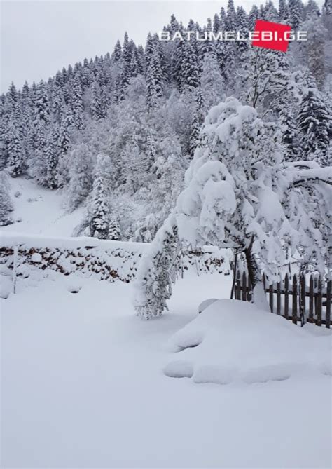 თოვლიანი დღე აჭარის სოფელში ფოტო Batumelebi • თოვლი • Batumelebi Ge