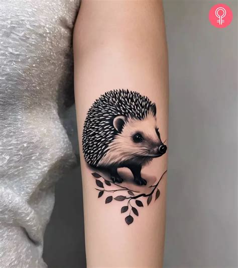 8 Cute Hedgehog Tattoo Ideas For You