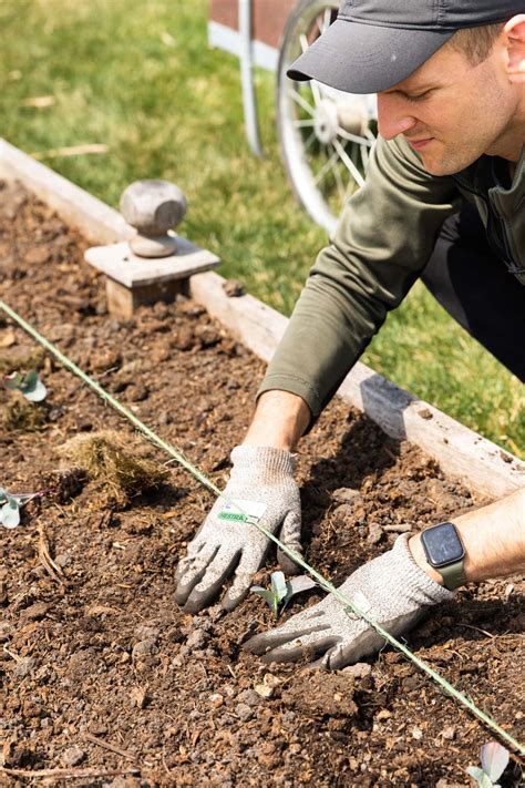 How To Plant Vegetable Seedlings In Raised Bed At Ronnie Herring Blog