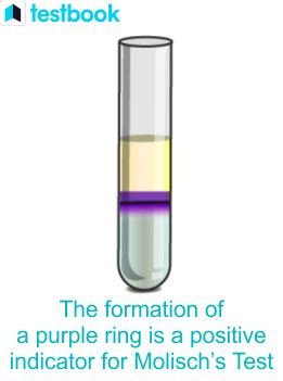 Molisch Test Principle Reagent Procedure And Result