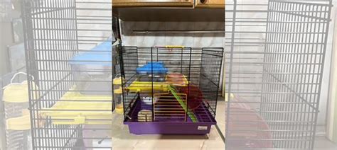Клетка для грызунов inter-zoo купить в Москве | Животные и зоотовары ...