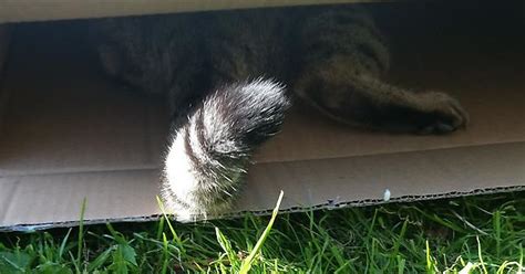 Schrödingers Twat Album On Imgur Schrödingers Twat Album On Imgur