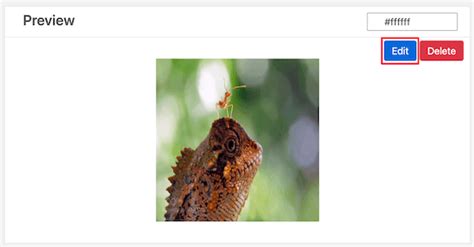 How To Add Image Hover Effects In WordPress Step By Step