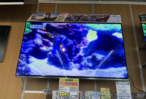 ヤマダデンキ Labi1 Life Select なんば On Twitter 平日限定大特価💥💥💥 Regza55型有機elがこんな金額