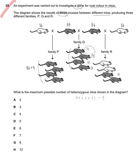 Calculating Heterozygous Alleles Practice Question Solving Entermedschool Future Doctors