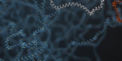 Ncm 2022 Long Read Sequencing Resolves Complex Structural Variants And Identifies Missing