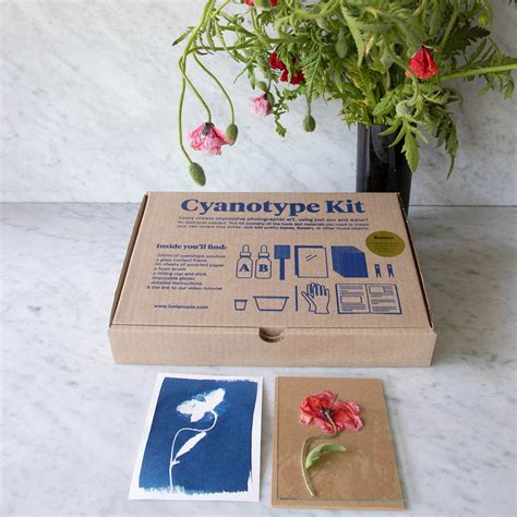 DIY Cyanotypie-Kit | Gartenzauber