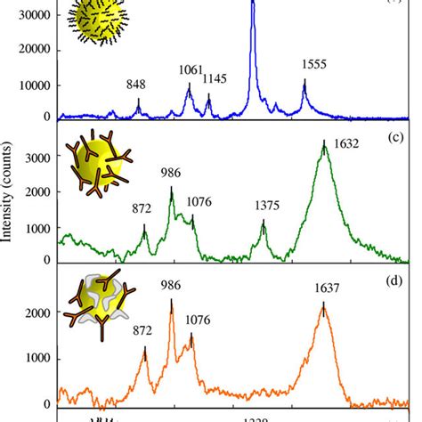 The Raman And Sers Spectra Of Dtnb And Igg A The Raman Spectrum Of