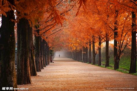 秋天摄影图 自然风景 自然景观 摄影图库 昵图网