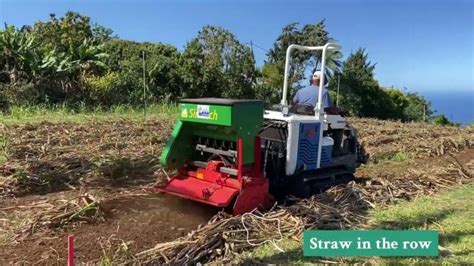 Reduce Herbicide Use By Intercropping Sugarcane With Service Crops La
