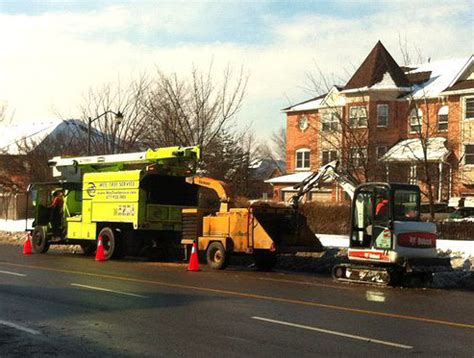 Stump Removal Simcoe Muskoka ON Wes Tree Service