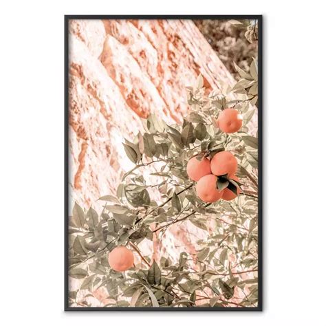Poster Young Clementines Branch Of A Mandarin Tree With Fruits Bimago