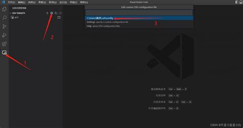 Vscode远程连接ubuntu服务器 源码巴士
