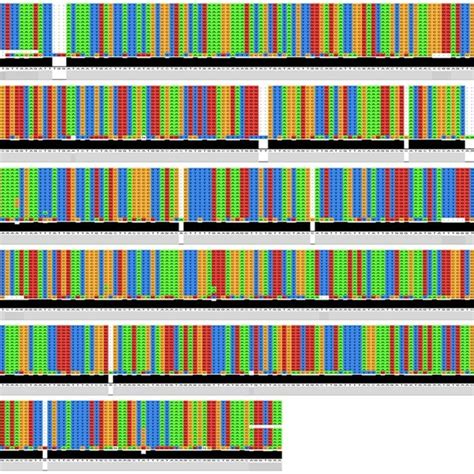 Multiple Sequences Alignment Msa Of Rbcl Gene From M Oleiferaleaves