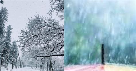 Weather Update Today Snowfall In Kashmir And Rainfall Other Part Of