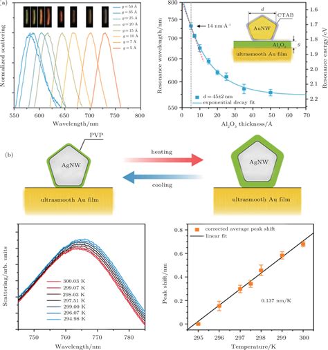 Ultrasensitive Nanosensors Based On Localized Surface Plasmon Resonances From Theory To
