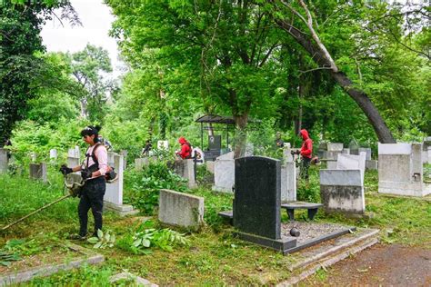 Чистят гробищата в София за Черешова задушница
