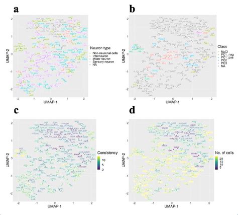 Results Of Wormtensor Utilizing T Distributed Stochastic Neighbor